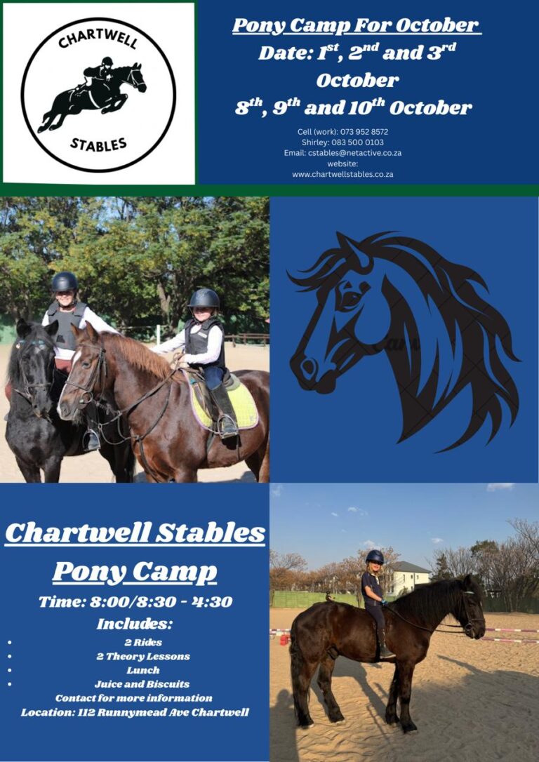 Chartwell Stables | Children's Riding School and Stables in Johannesburg